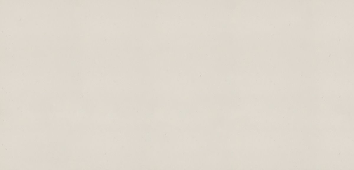 Caesarstone - Misty Carrera - Simplicity Granite